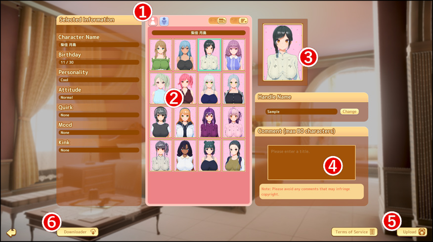 HoneyCome Dolce 』 Player Manual